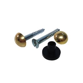 Polished Brass Dome Head Mirror Screws - The Wholesale Glass Company