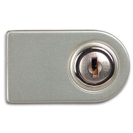 Glass Door Lock with Cylinder - The Wholesale Glass Company