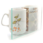 Float Glass Samples - The Wholesale Glass Company